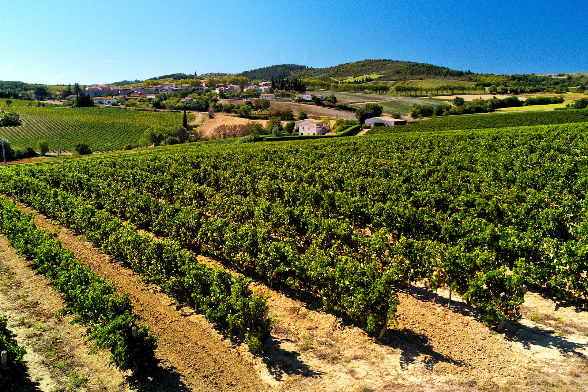 Camping in the Aude - Innature