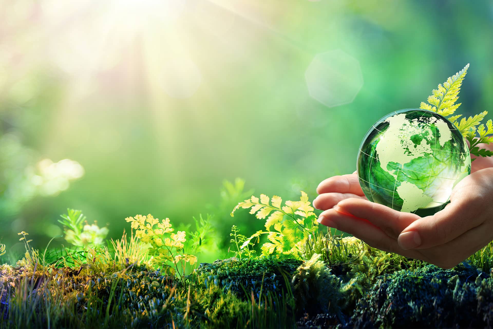 Camping nature - Aude | Camping 4 étoiles Innature